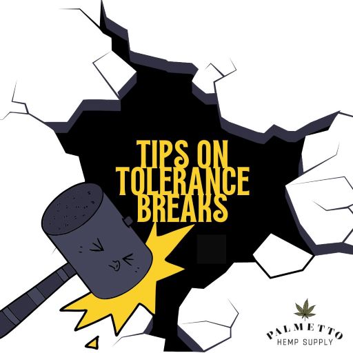 Tips on Tolerance Breaks – Palmetto Hemp Supply